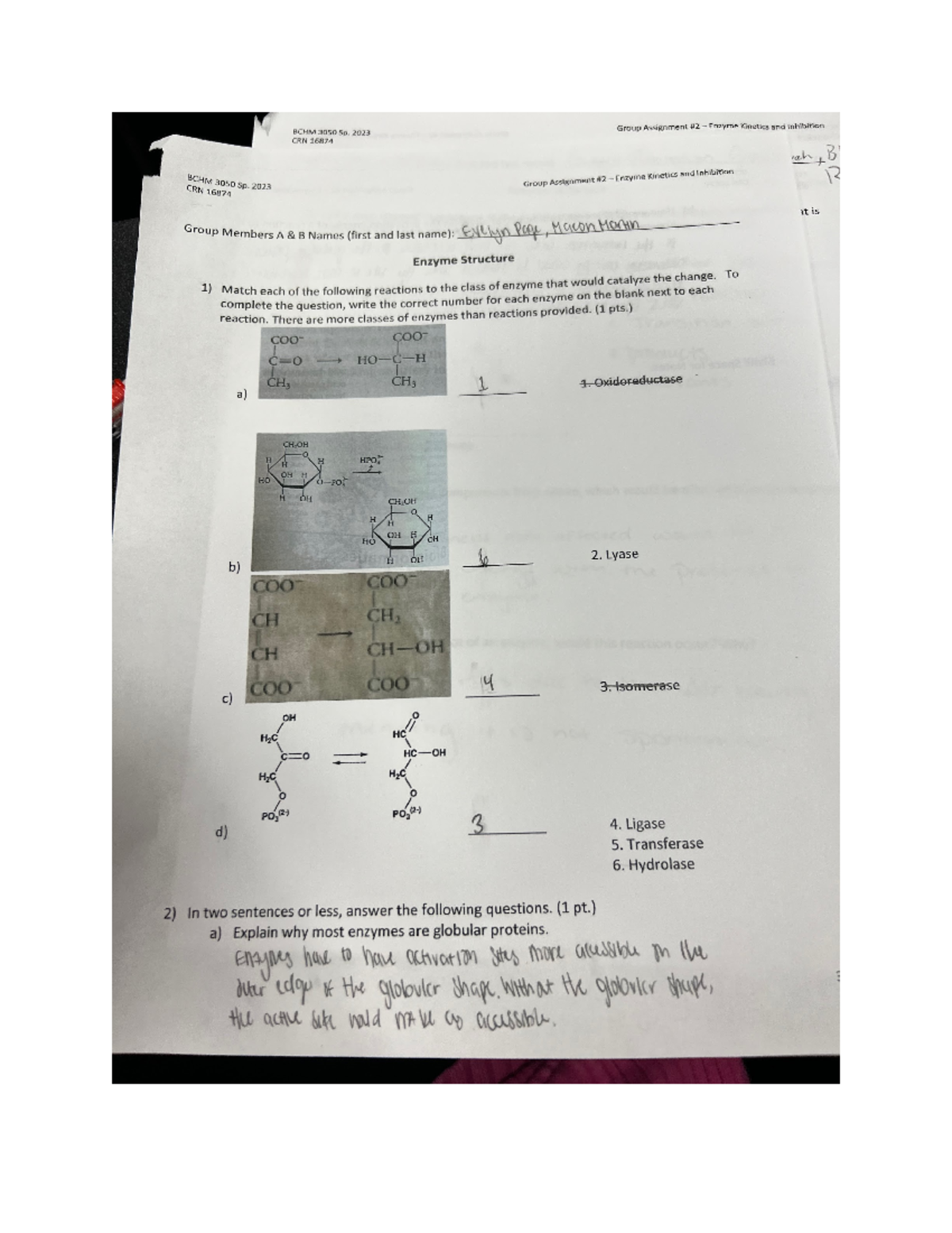 BCHM Group Activity #2 - Group Assignment Enzyme Kinetics and ...