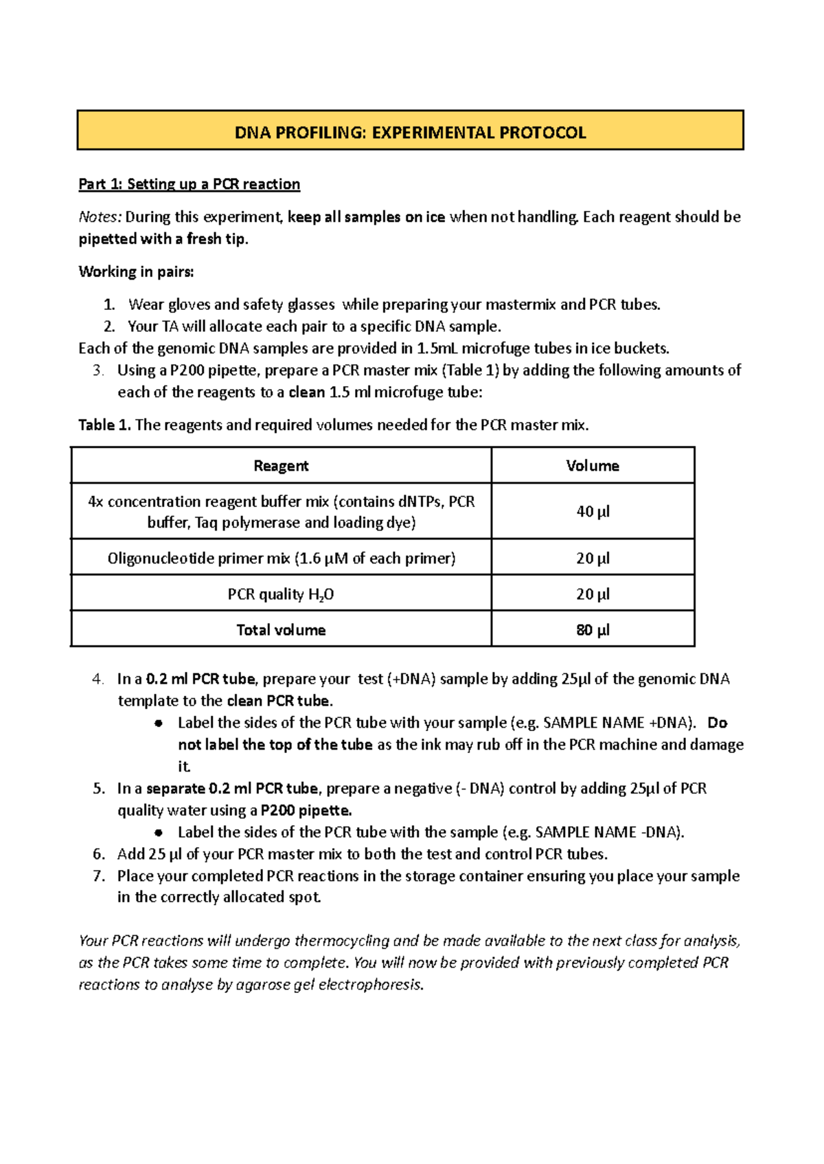 DNA Profiling & Gene Expression: Lab 4 Protocols (PCR & Bacterial Spot ...