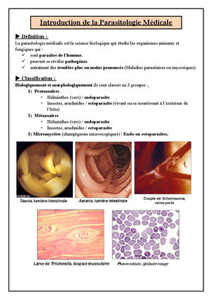 2- Amibes et amibiase - Classification - Rappel : Introduction : Les ...