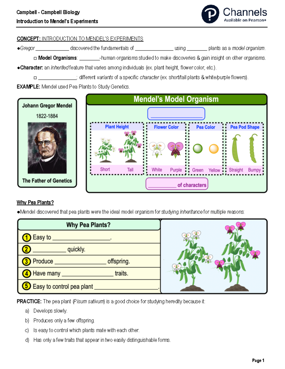 Introduction to Mendel's Experiments-worksheet - CONCEPT: INTRODUCTION ...