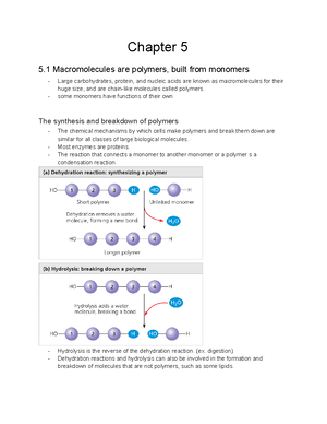 [Solved] Complementarity of structure and function establishes that A ...