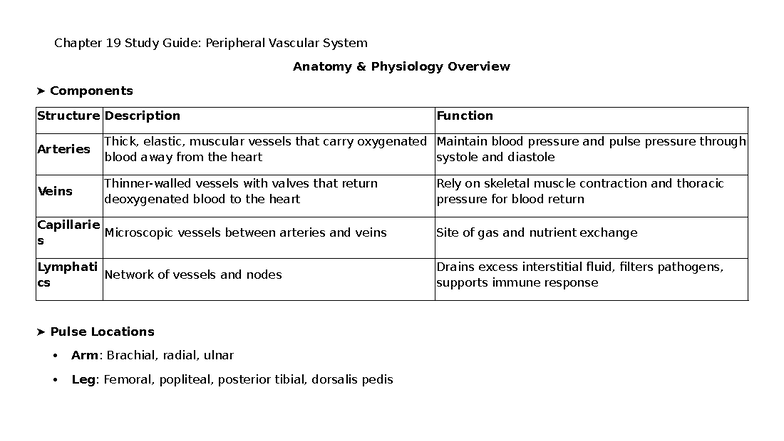 Peripheral Vascular System: Anatomy & Physiology Study Guide (NUR 101 ...