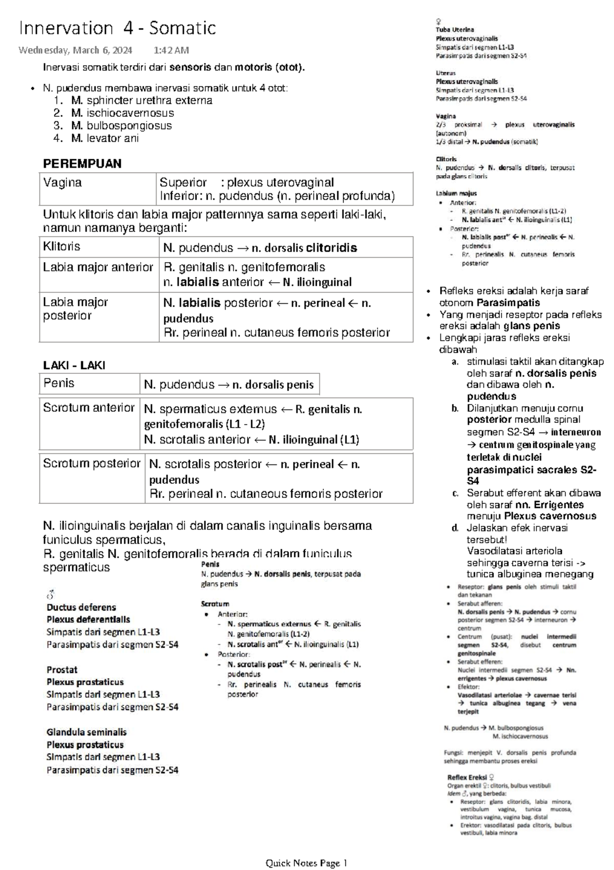 Innervation 4 - Somatic: Quick Notes on Somatic Nerves - Studocu