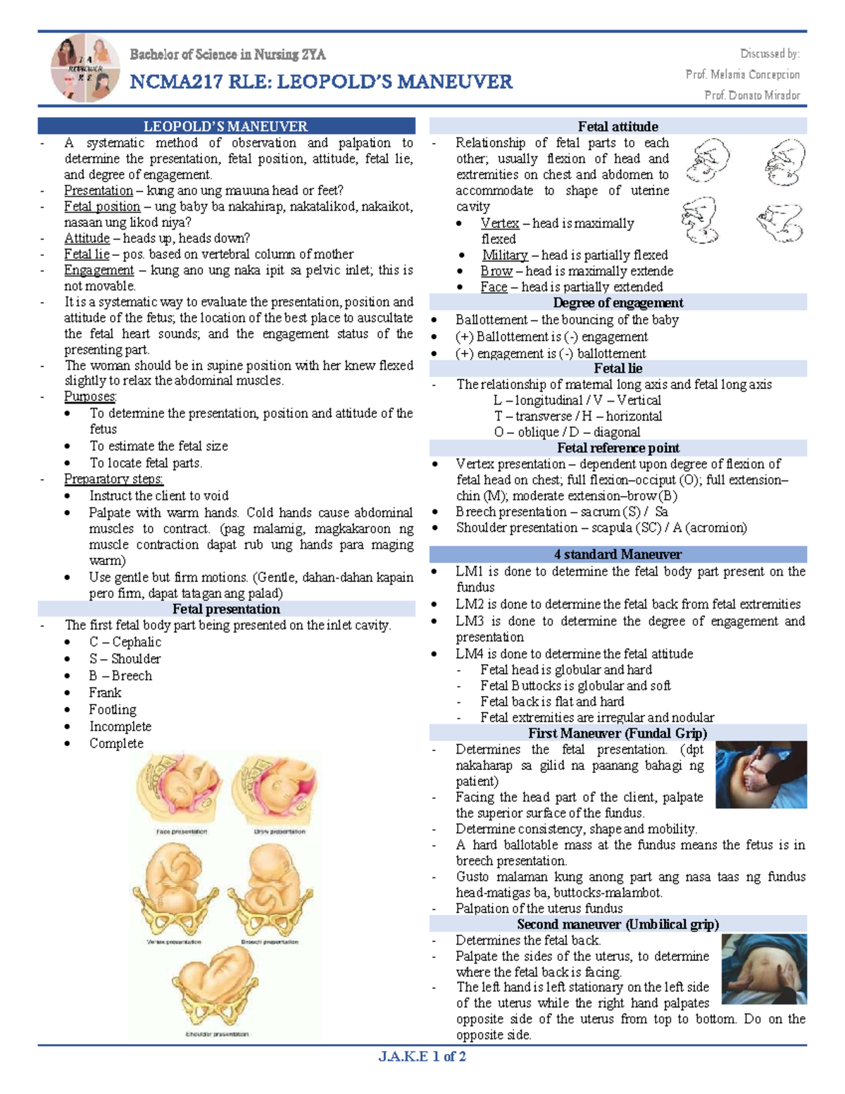 NCMA217 RLE: WK4 - Understanding Leopold's Maneuver in Fetal Assessment ...