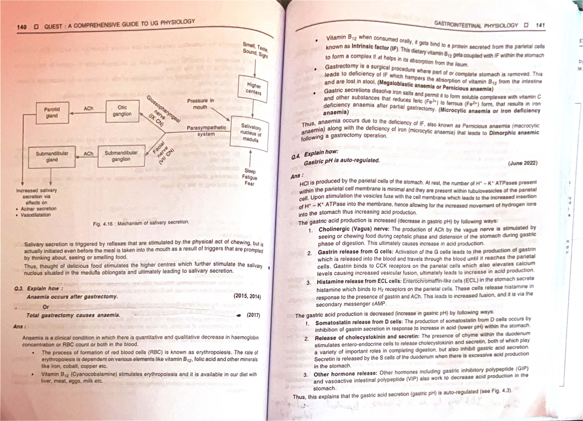UG PHYSIOLOGY: Comprehensive Guide to Gastrointestinal & Cardiac ...