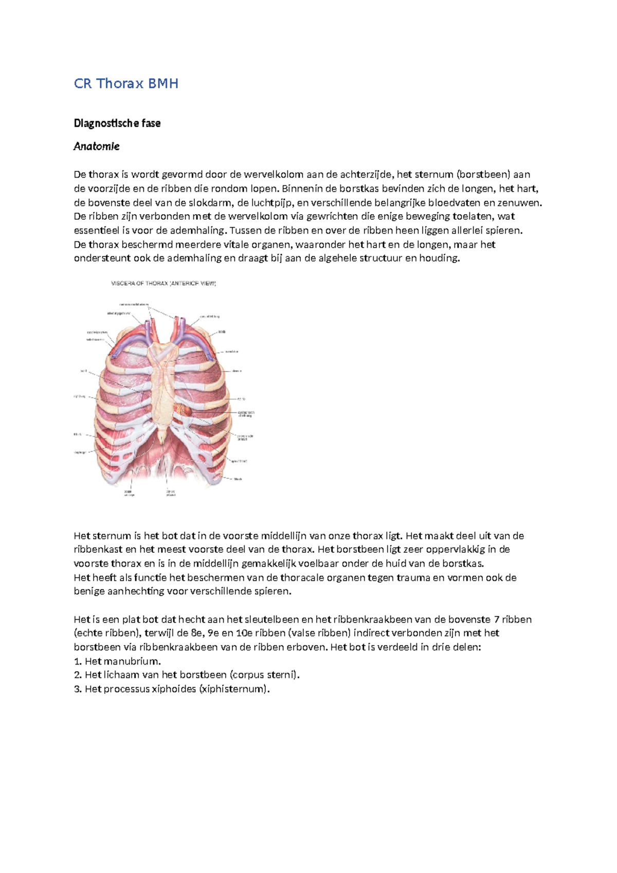 CR Thorax BMH: Anatomie, Pathologie en Onderzoekstechnieken - Studeersnel
