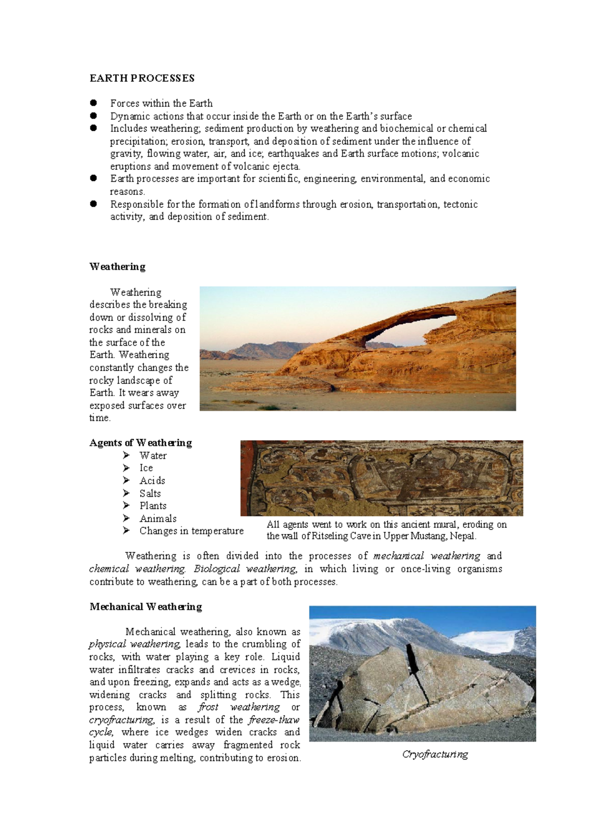 Earth- Processes - EARTH PROCESSES Forces within the Earth Dynamic ...