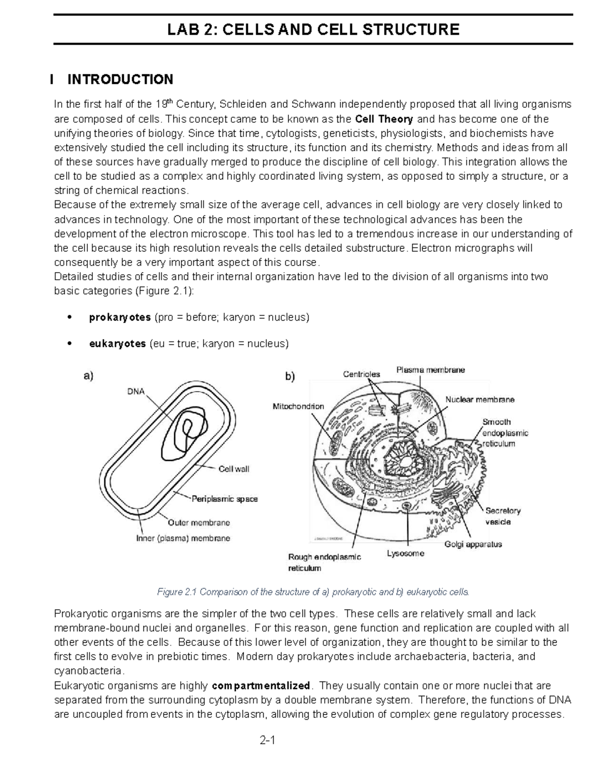 LAB 2: CELLS AND CELL STRUCTURE - Introduction to Cell Theory - Studocu