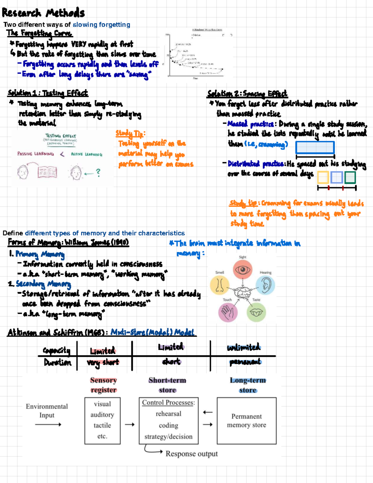 Psych 124C Midterm Review: Memory Processes and Theories - Studocu