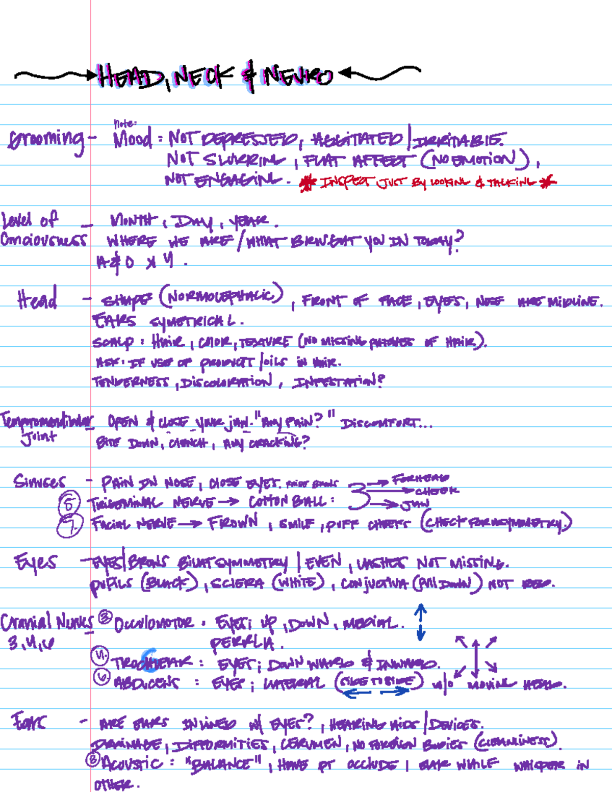 Head, Neck & Neuro Exam Notes: Mood Assessment & Cranial Nerves - Studocu