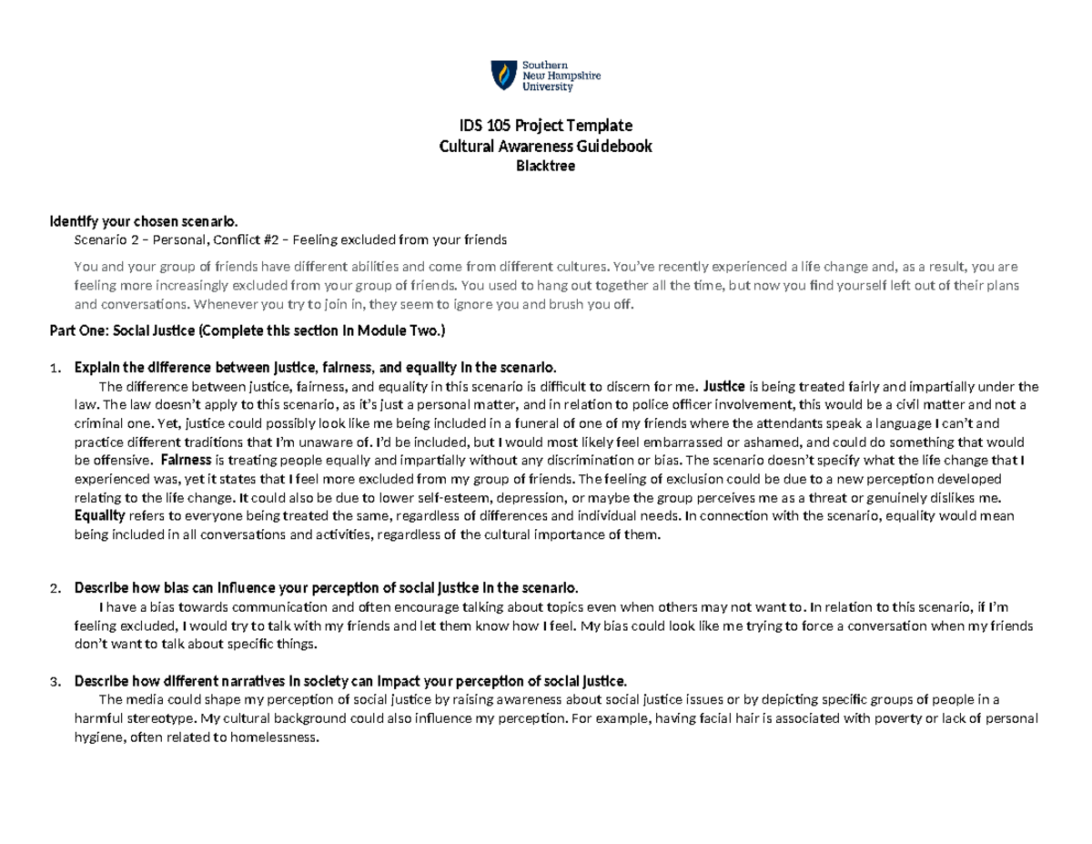 IDS 105 Project Draft: Communication Strategies in Conflict Resolution ...