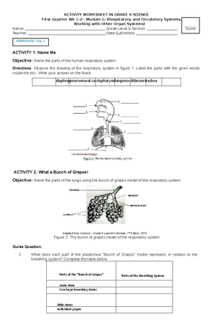 SPOT- Report-RE-Robbery-with-Homicide 2 - Republic of the Philippines ...
