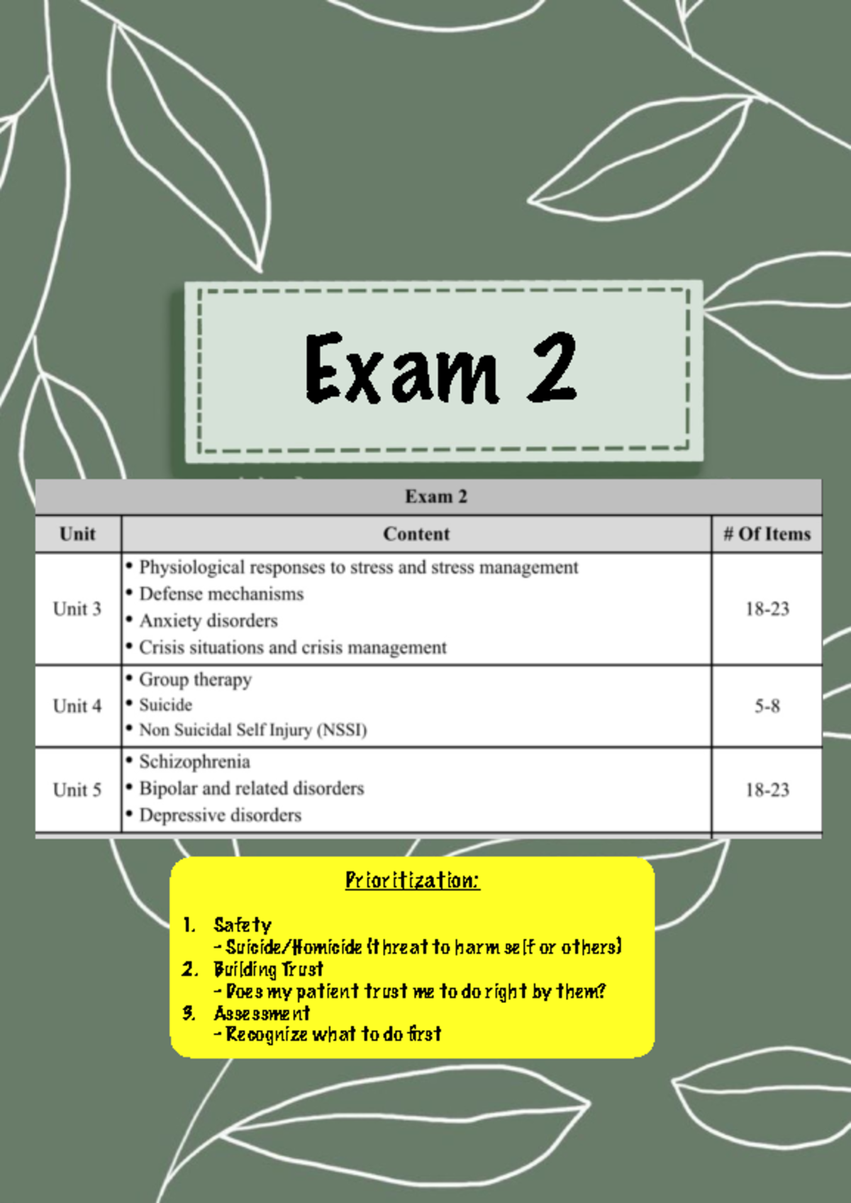 Mental Health - Exam 2 - Notes for exam 2 - Exam 2 Prioritization ...