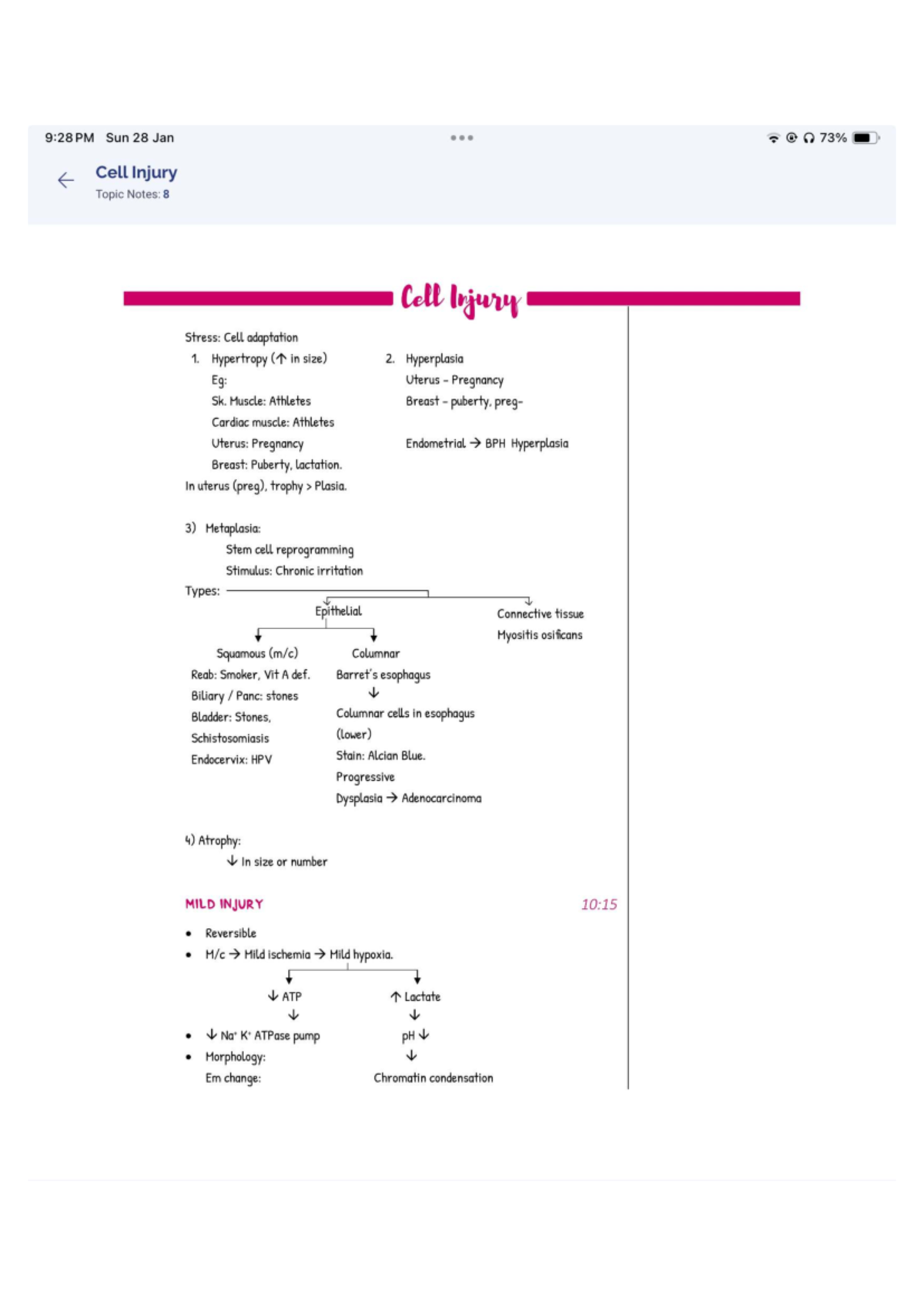 Pathology Rr 4 Study Guide And Key Concepts Studocu