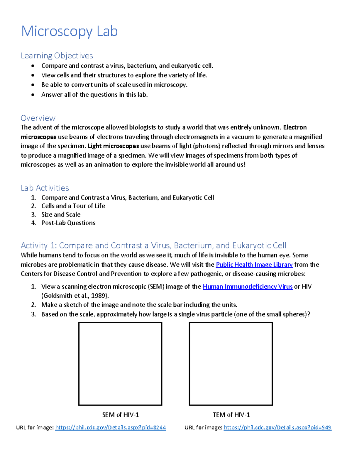 BIOL 101: Lab 2 - Exploring Microscopy and Cellular Structures - Studocu