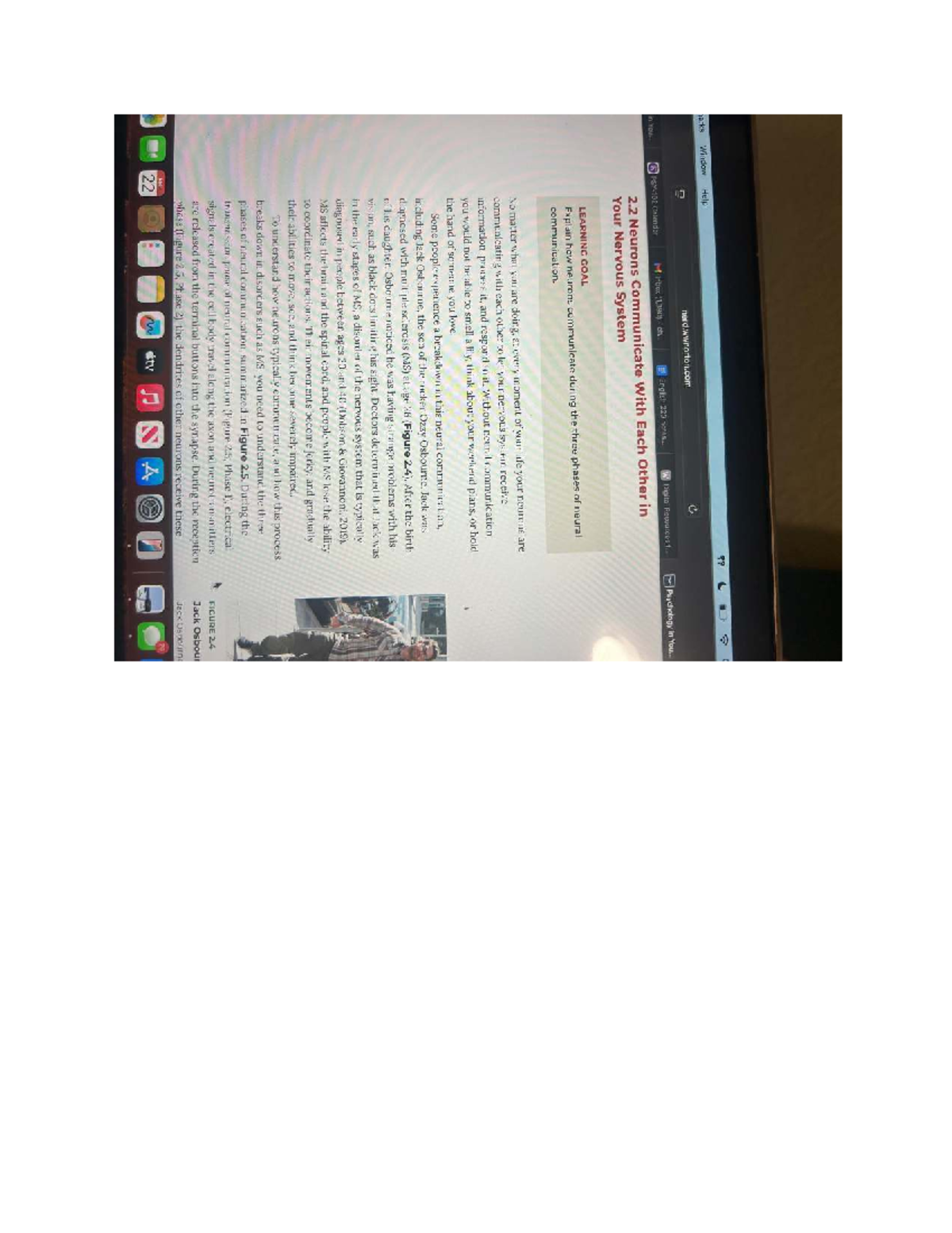 Psychology 220: Neural Communication and Its Phases - Studocu