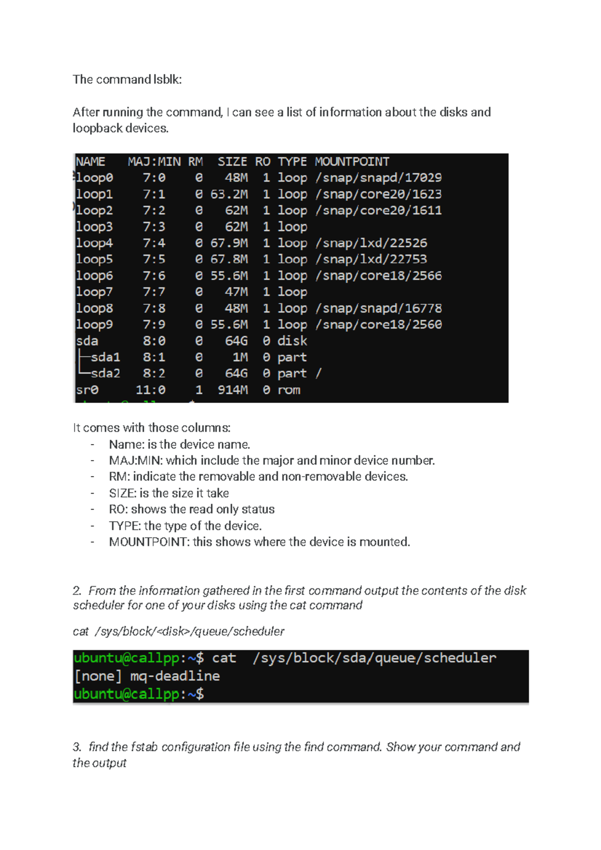 Programming Assign. Unit 4 - The command lsblk: After running the ...