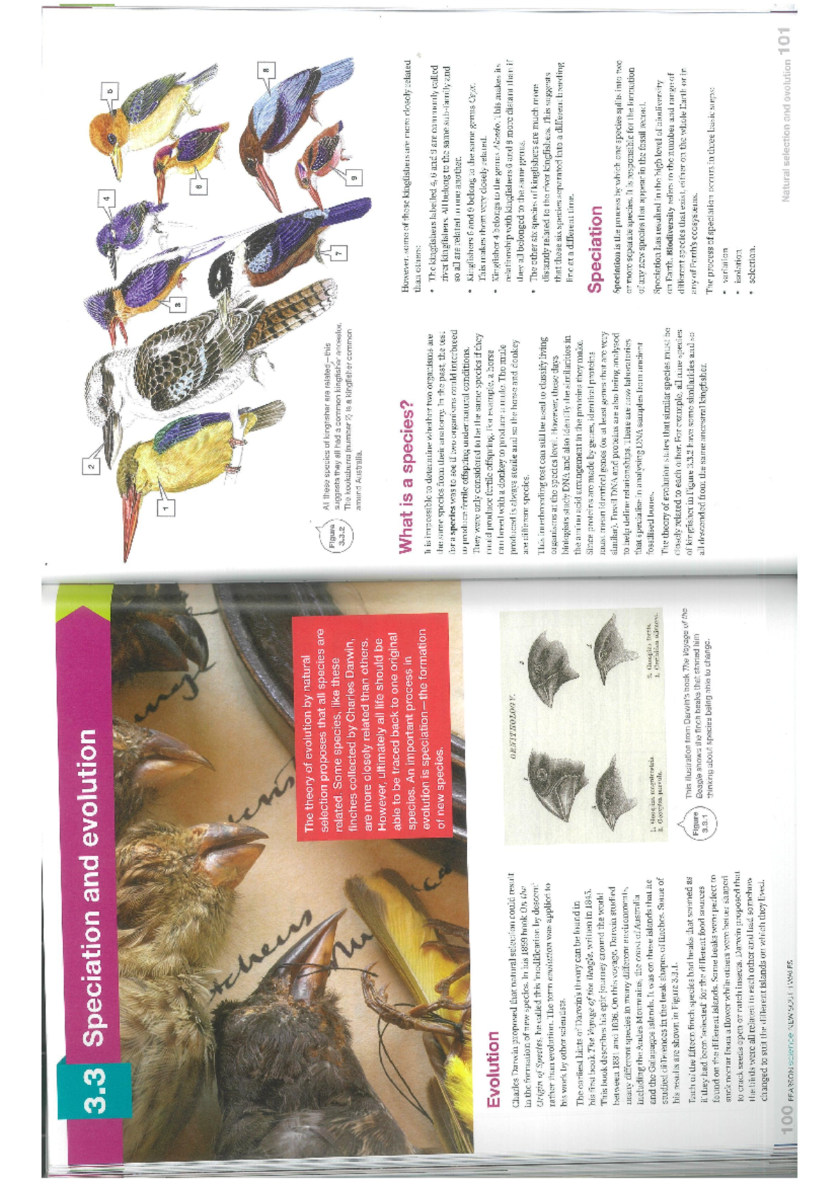 3.3 Speciation and Evolution: Understanding Natural Selection and ...