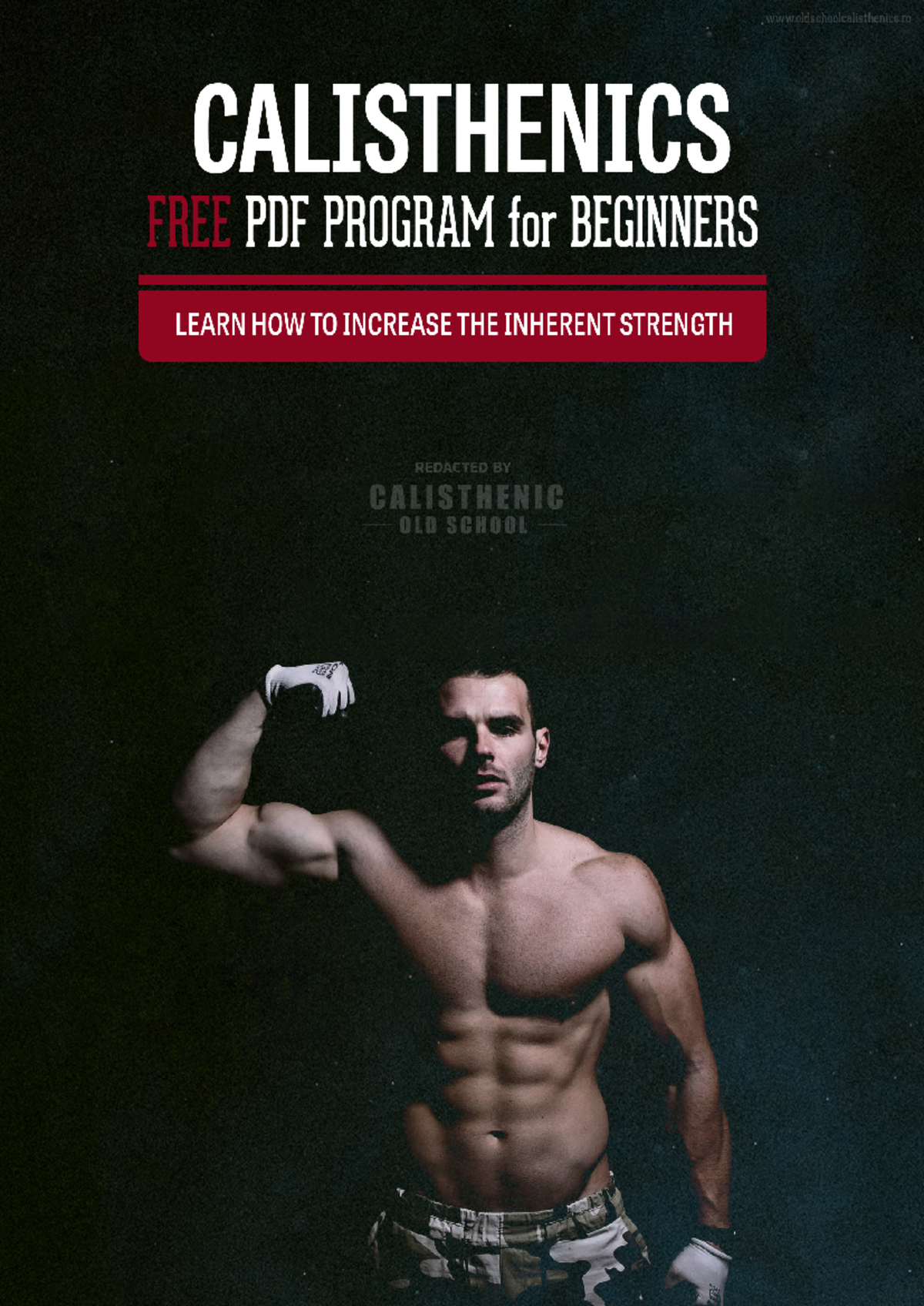Old School Calisthenics: Beginner Workout Guide by Adorian Moldovan ...