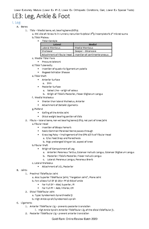 Caravan Guidelines - COLEGIO DE SAN ANTONIO DE PADUA Supervised by the ...