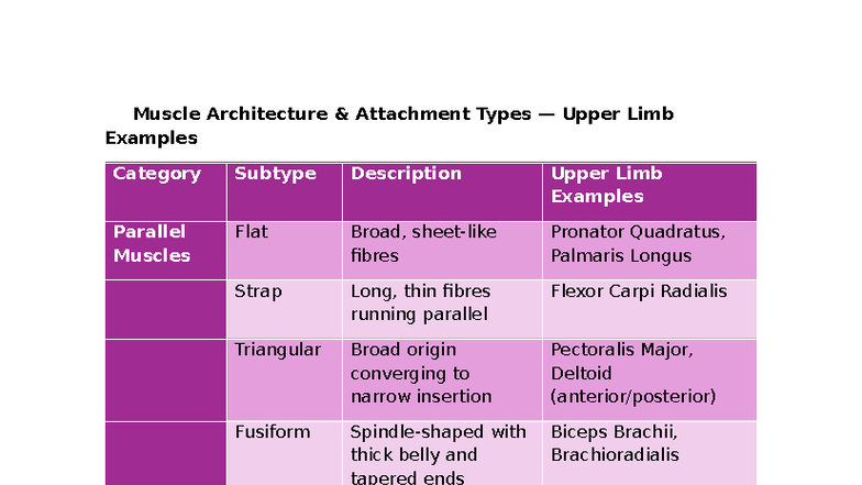 Muscle Architecture UL: Attachment Types and Examples - Studocu