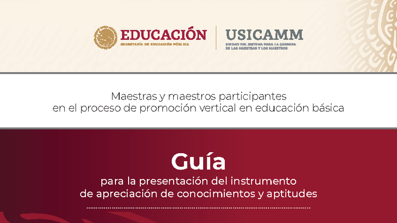 Guía de Apoyo para la Promoción Vertical en Educación Básica ...