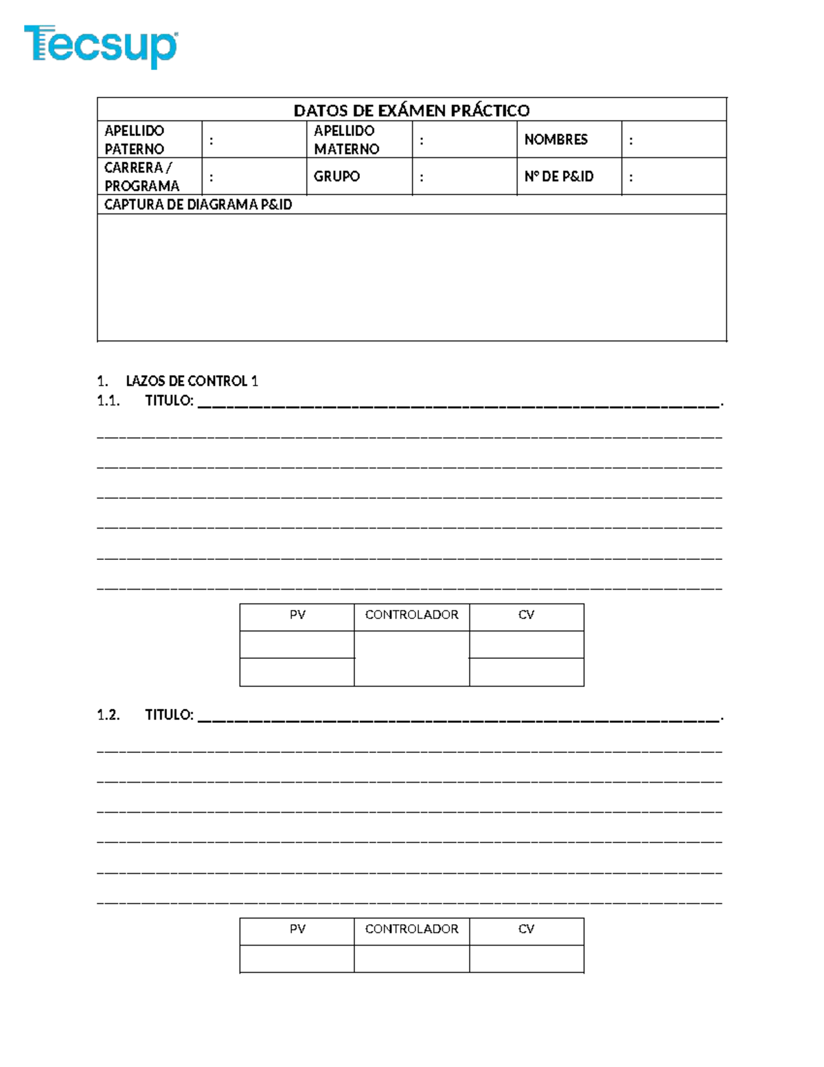Instrucciones y Ejemplo de Redacción de Trabajo Final - CAPTURA DE ...