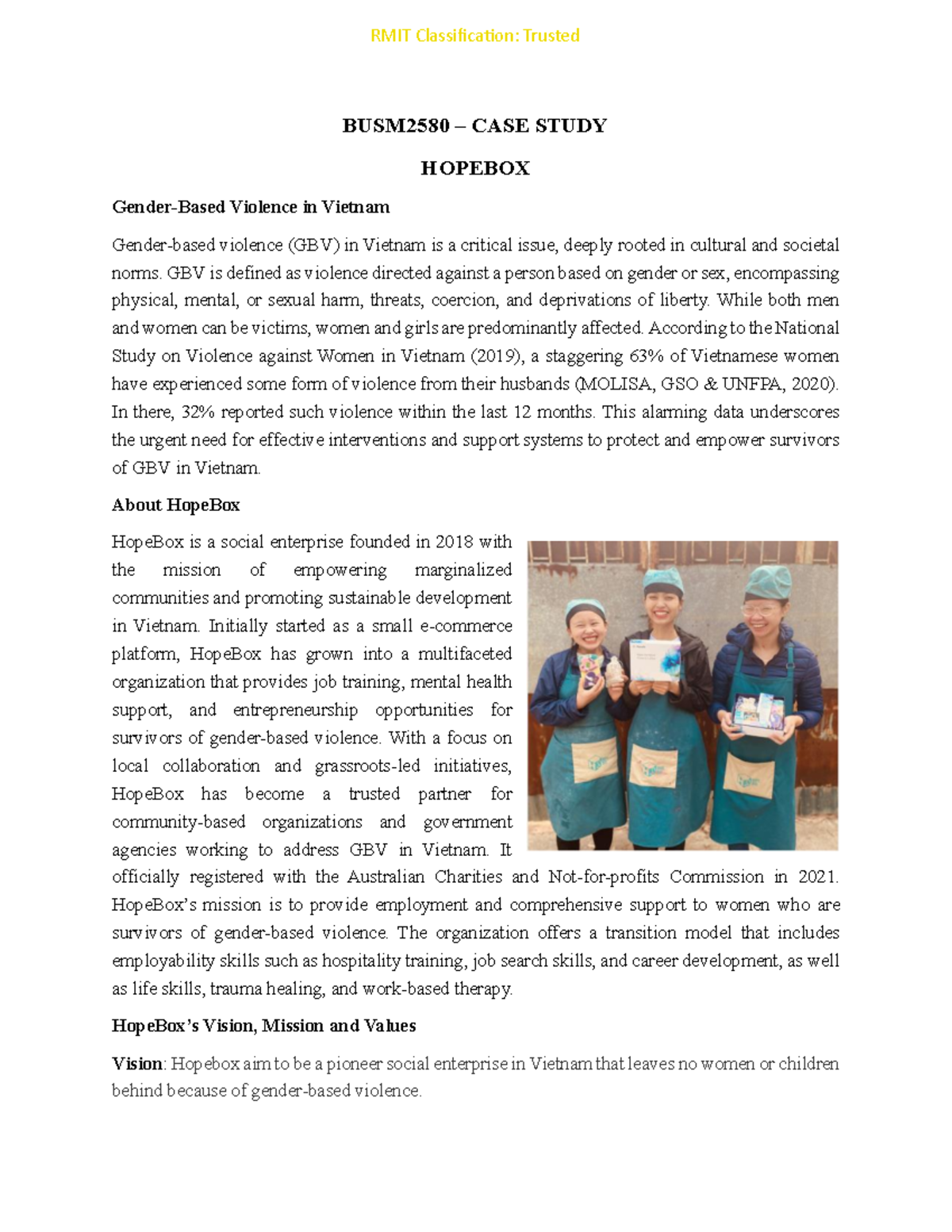 BUSM2580 - Case Study on HopeBox: Empowering Survivors of GBV in VN ...