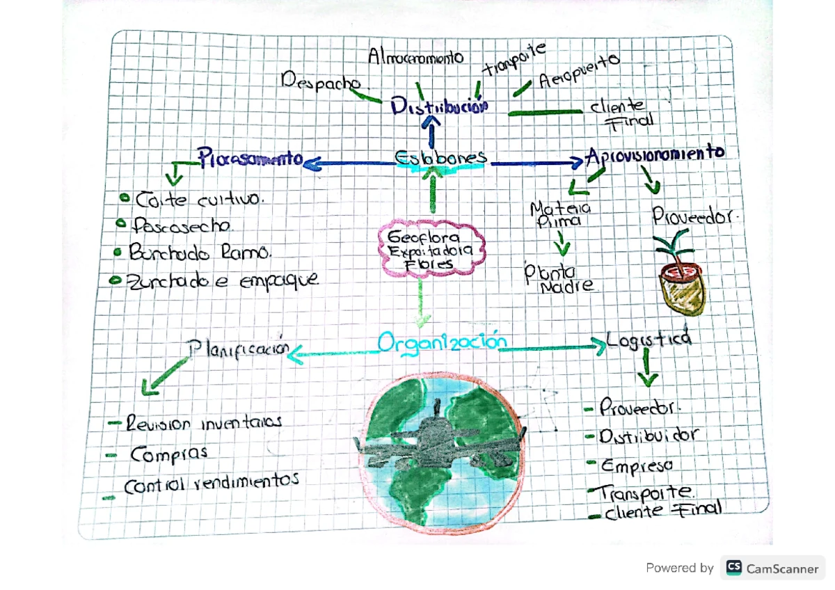 Mapa del Proceso Logístico: GA1-210101067-AA1-EV03 Análisis Detallado ...