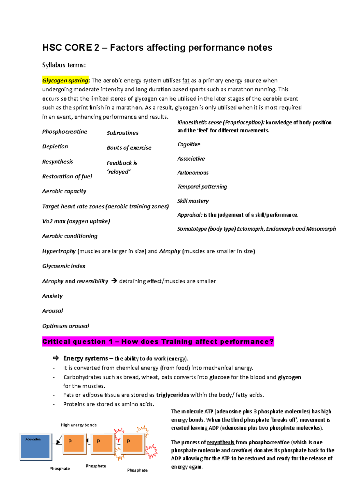 HSC Core 2: Factors Affecting Performances syllabus specific notes ...