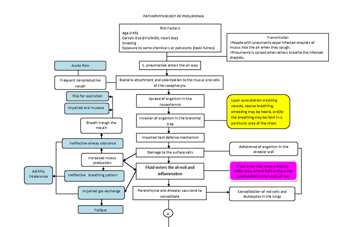 Pathophysiology-of-pneumonia (Sample) - PATHOPHYSIOLOGY OF PNEUMONIA S ...