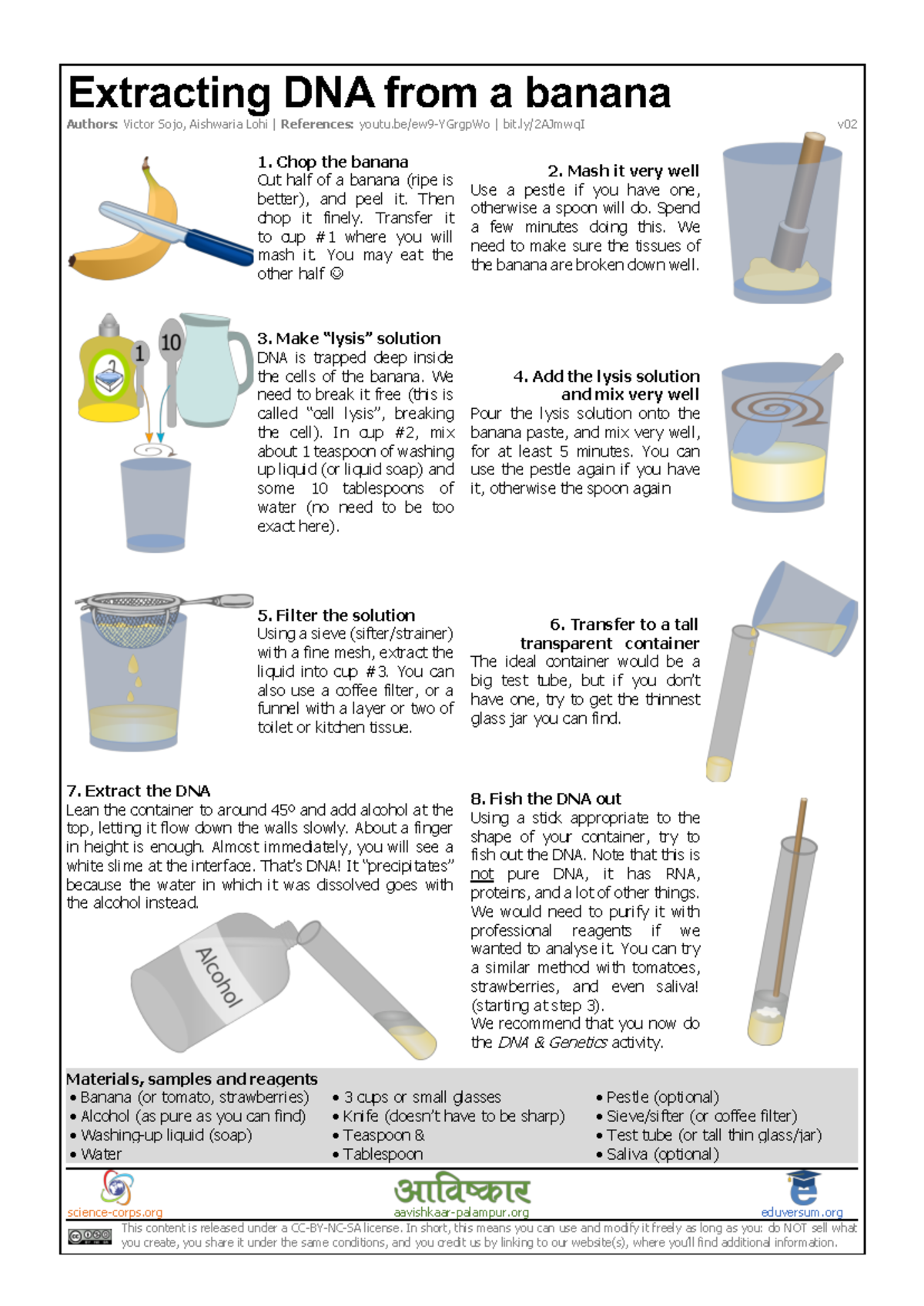 DNA Extraction from Banana: Practical Protocol - Science (Practical 6 ...