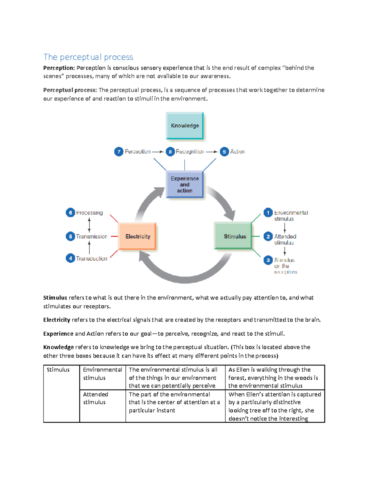 The perceptual process - The perceptual process Perception: Perception ...