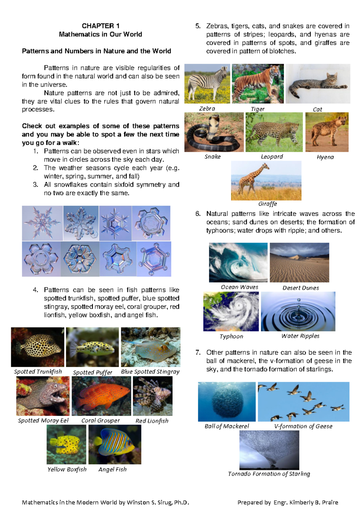 CHAPTER 1: Patterns and Fibonacci in Nature - Math in Our World 5 - Studocu