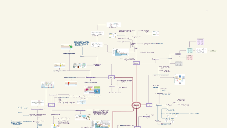 Energetics of Life: Mind Maps for Metabolism and Glycolysis (BIO 101 ...