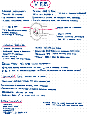 Presentación Peste Bubónica - Presentación Peste Bubónica Introducción ...