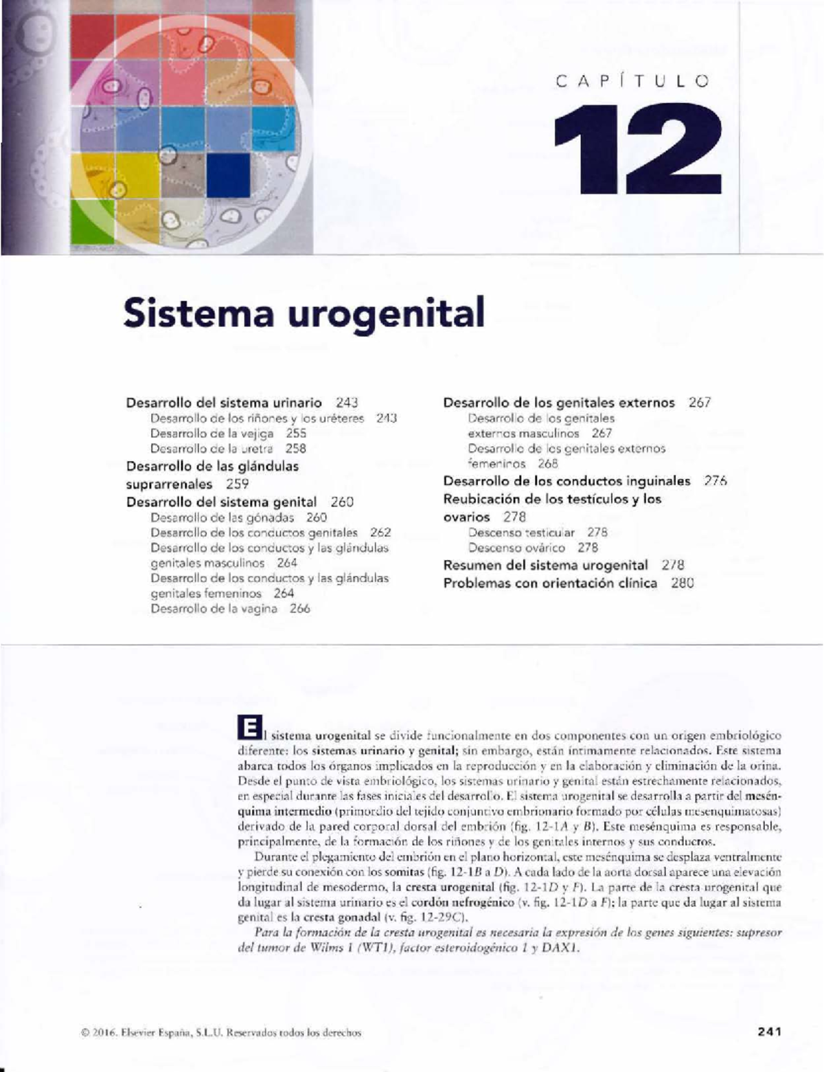 CA P IT ULO 12: Desarrollo del Sistema Urogenital y sus Estructuras ...