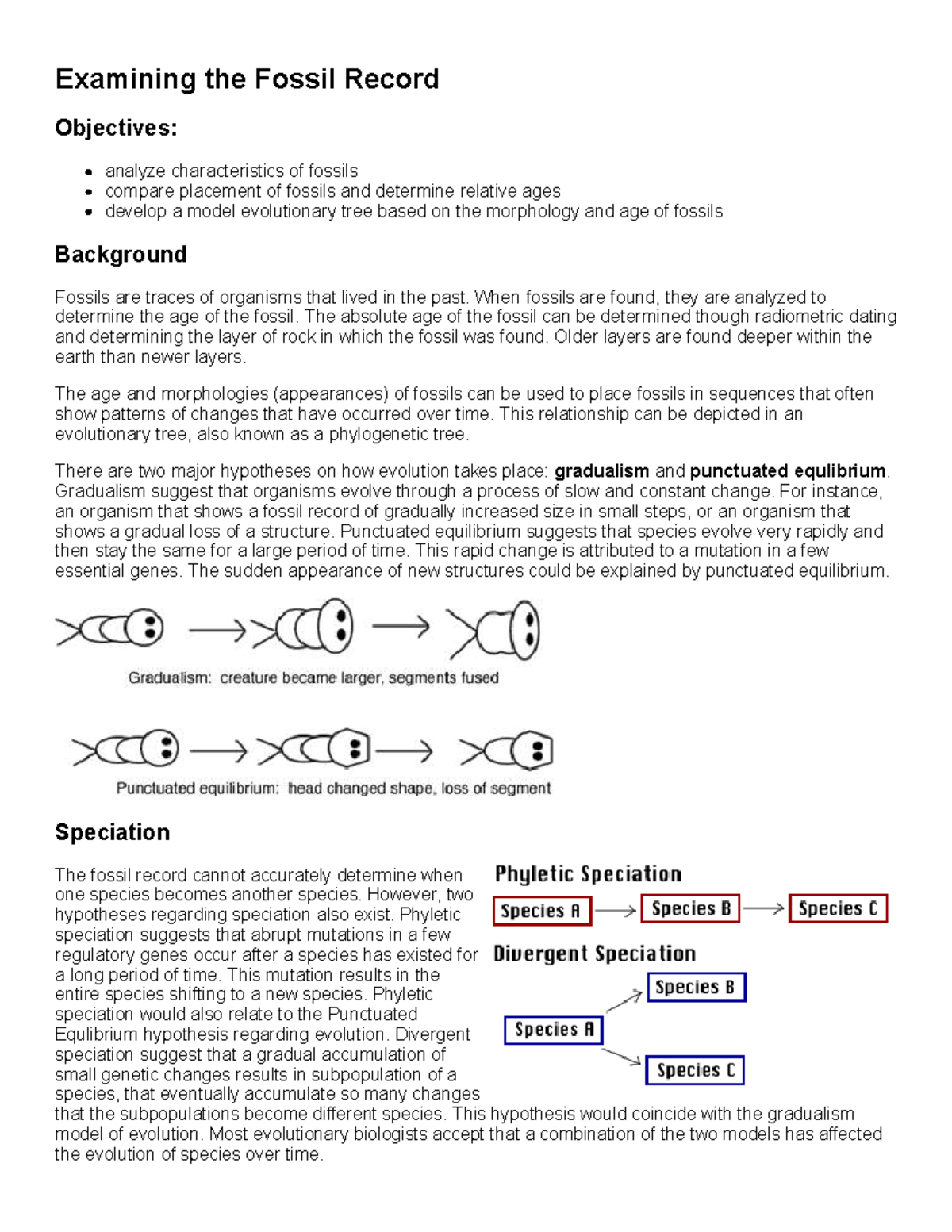 Fossil record analysis and evolutionary tree modeling in biology - Studocu