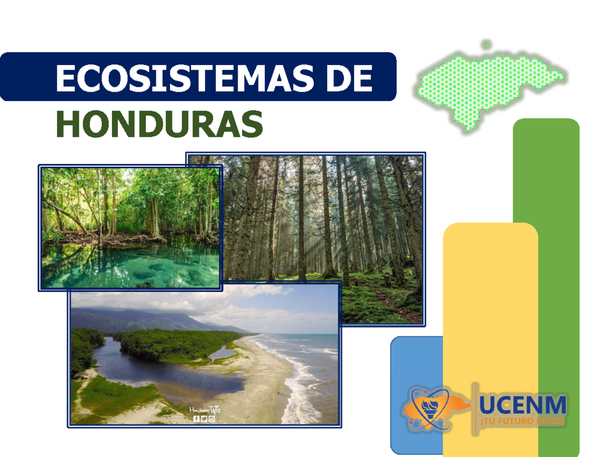 ECOSISTEMAS DE HONDURAS - Resumen Educación Ambiental (125580032) - Studocu