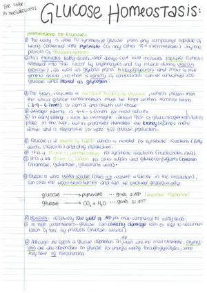 Codeine - drug template - ACTIVE LEARNING TEMPLATES THERAPEUTIC ...