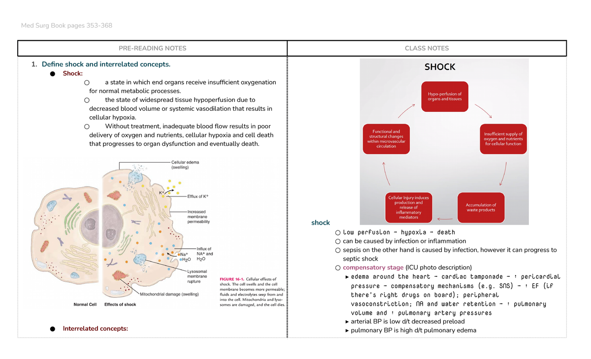 Module 11 Perfusion: Understanding Shock and Its Stages - Studocu