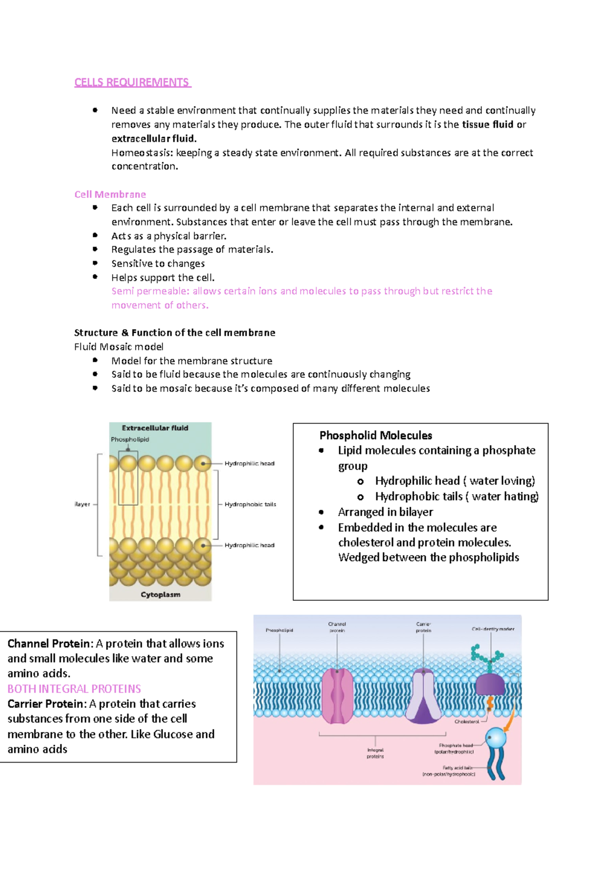 Cell Requirements and Membrane Transport Mechanisms - Studocu