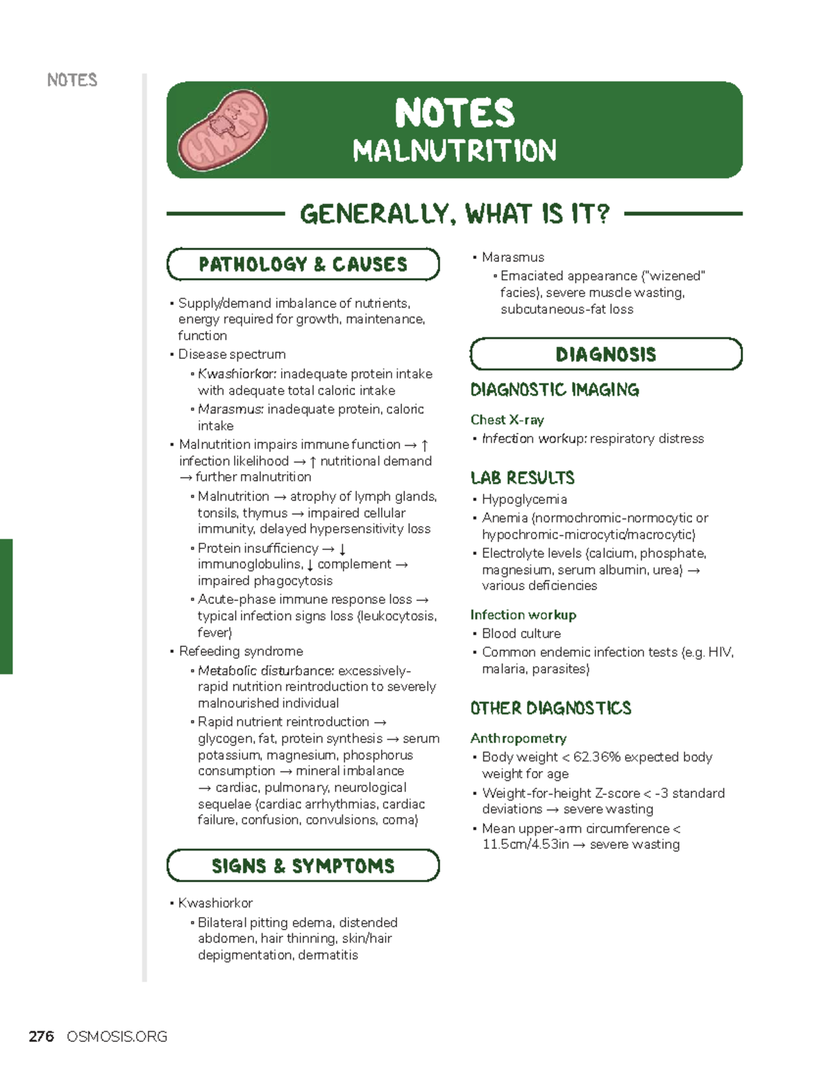 Malnutrition Overview: Kwashiorkor & Marasmus Notes (Mal 47) - Studocu