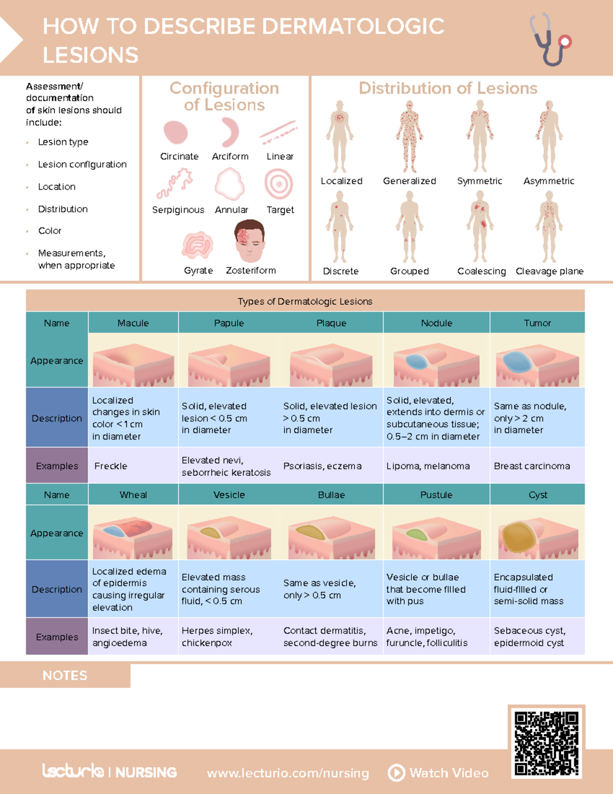 Nursing CS Notes: Describing Dermatologic Lesions for Assessments - Studocu