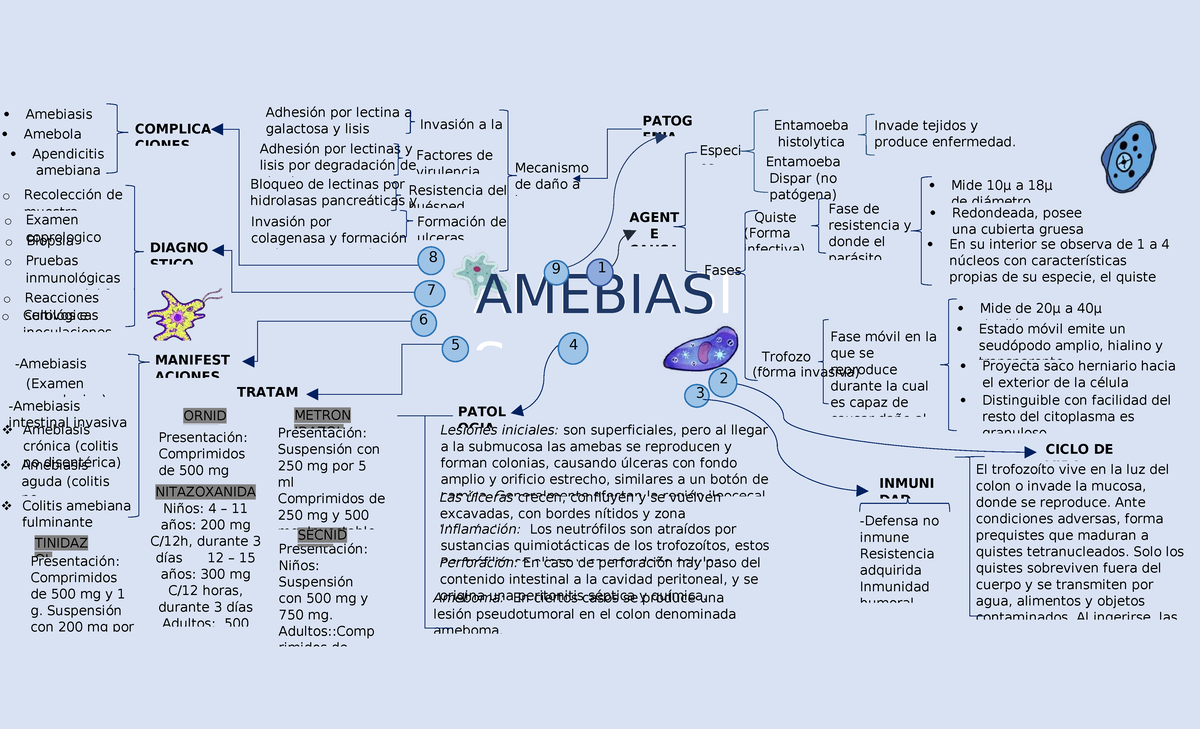 Amebiasis: Mecanismos, Diagnóstico y Tratamiento (Curso de Patología ...