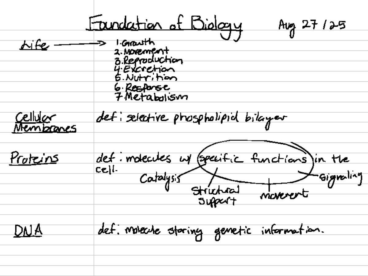 Central Dogma of Molecular Biology: Exam Prep Notes - Studocu