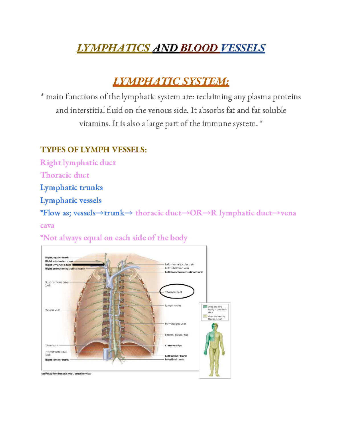 Lymphatic and Blood Vessel Systems: Functions, Structures, and Diseases ...