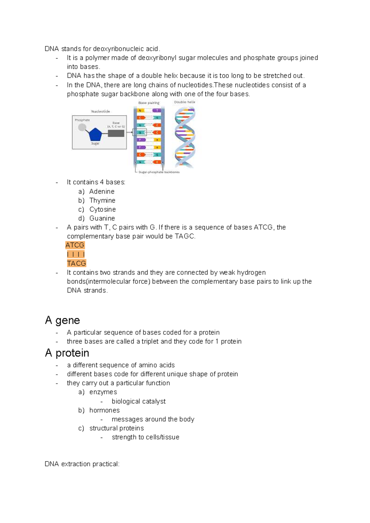 Biology - Genes & Protein Synthesis Overview (BIO101) - Studocu
