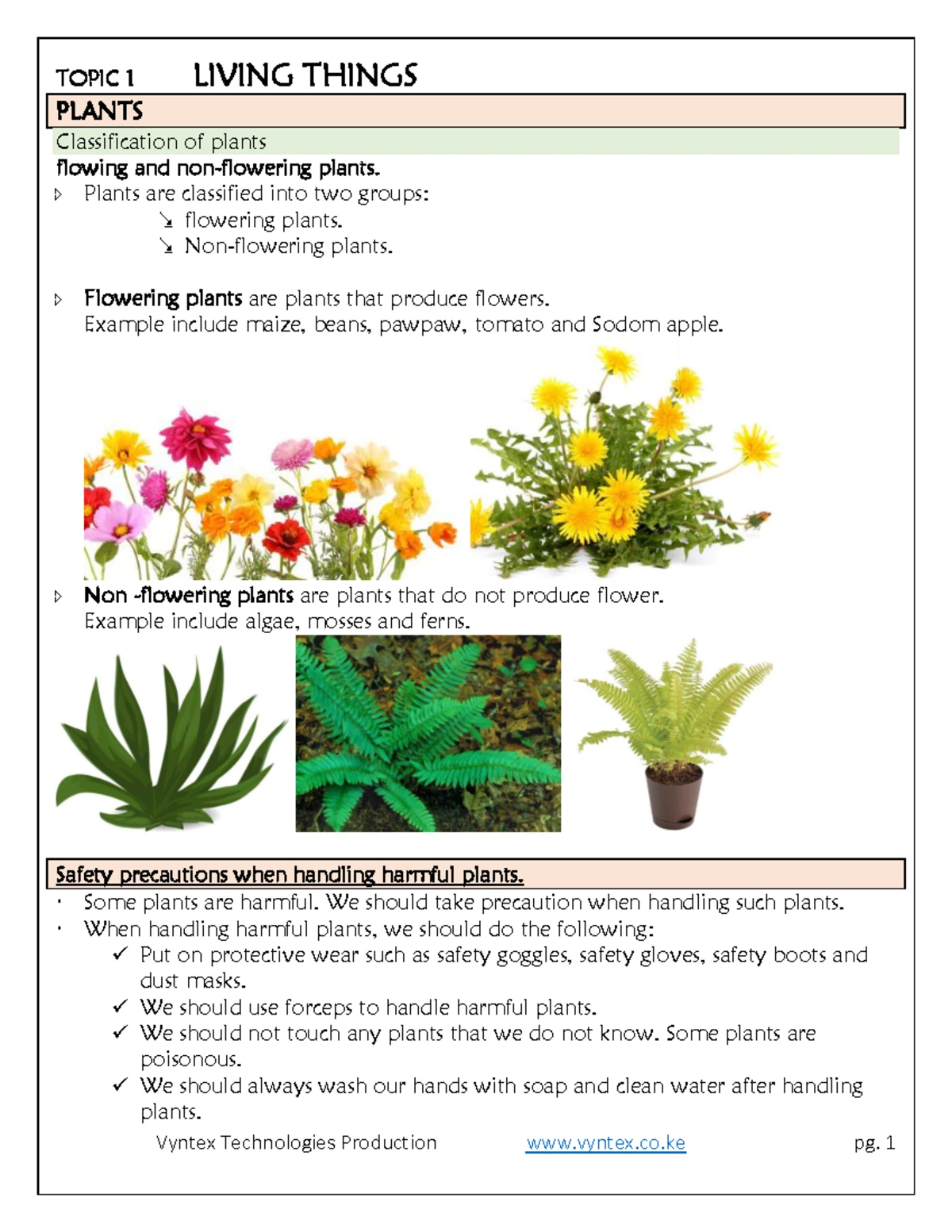 Grade 6 CBC Social Studies: Comprehensive Lesson Notes - Studocu