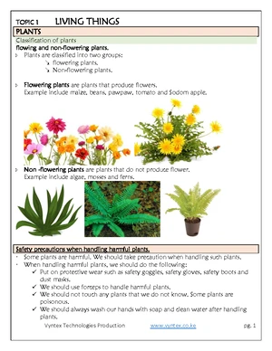 Grade 6 CBC Social Studies Notes - GRADE 6 CBC SOCIAL STUDIES LESSON ...